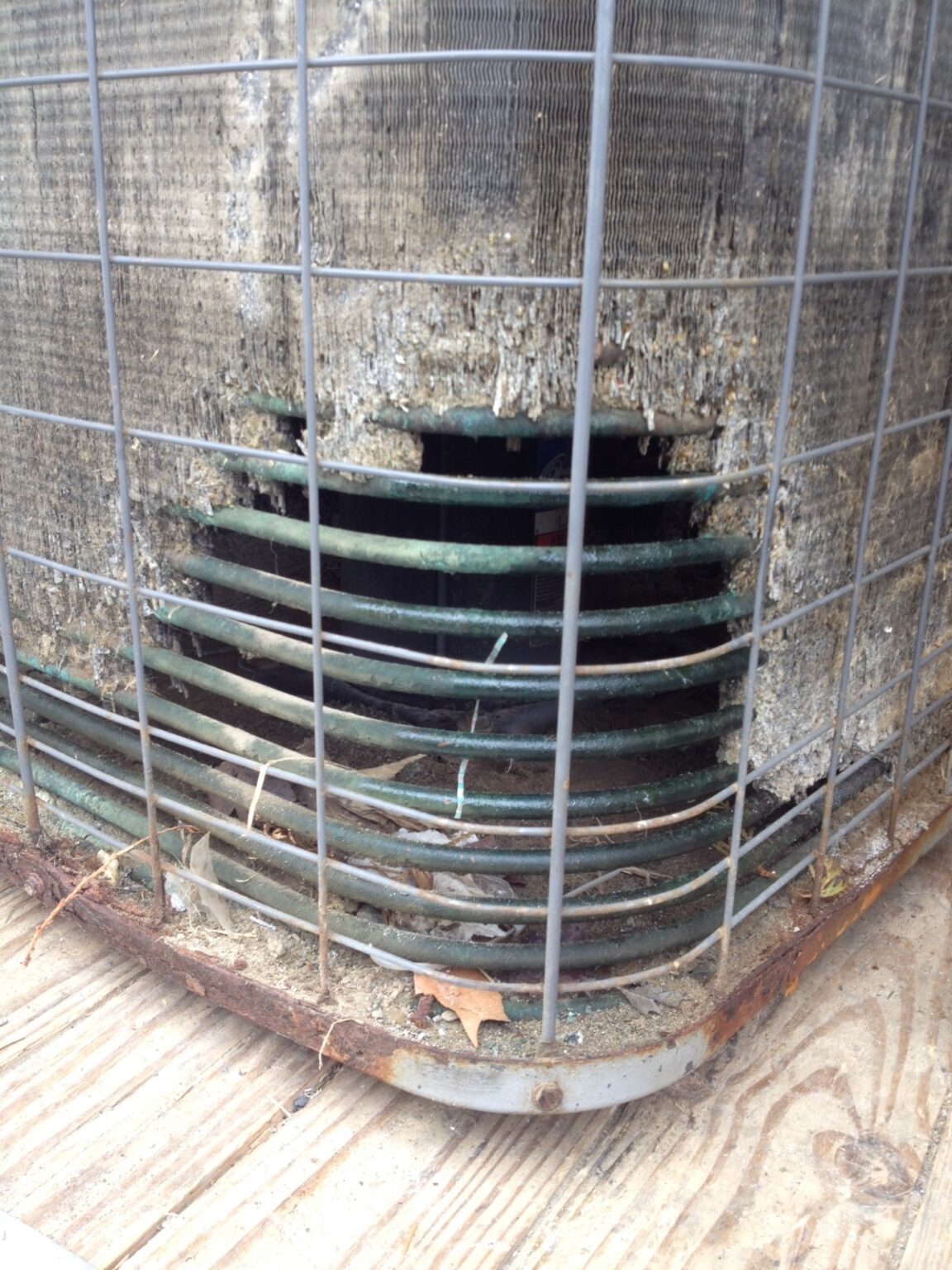 Is your dog destroying your Air Conditioning Unit? | Apollo Heating & Air